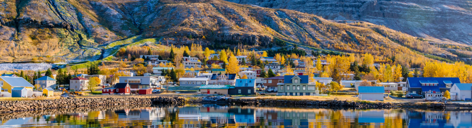 Fall Colors in Iceland
